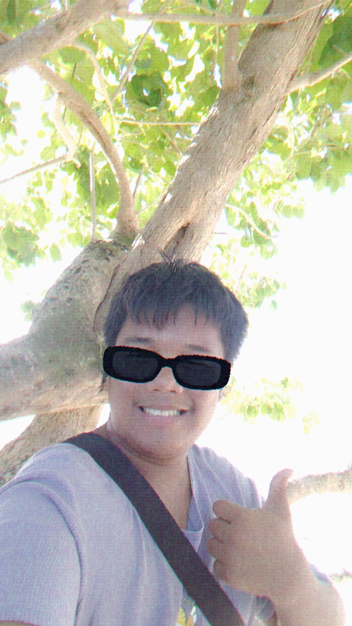 Railey Andrei S. Borja - Portfolio